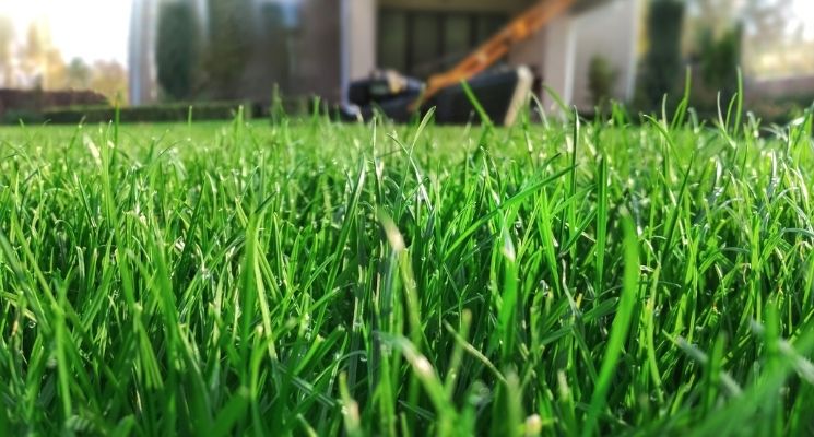 The Heat of Battle | LebanonTurf