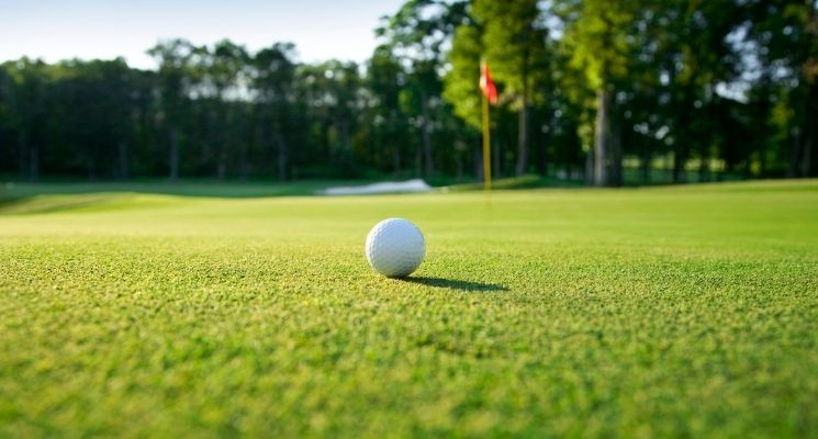 LebanonTurf Enhances True Performance Turfgrass Program for 2019 ...